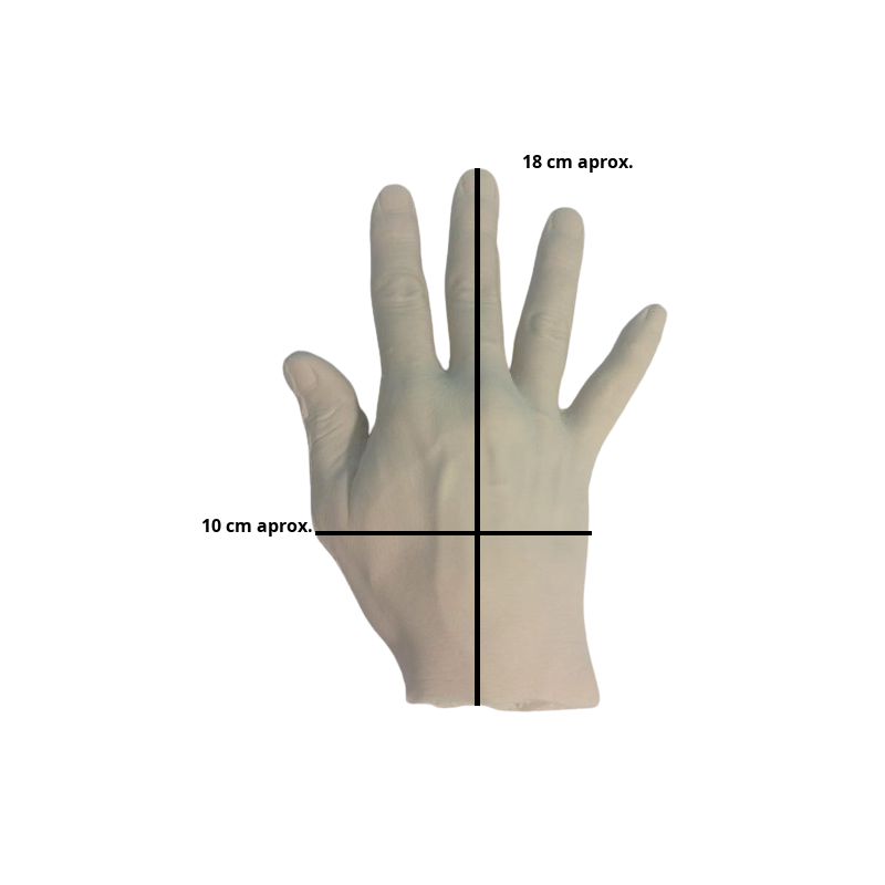 Modelo de simulación de bloqueo nervioso digital Lateralidad Derecha